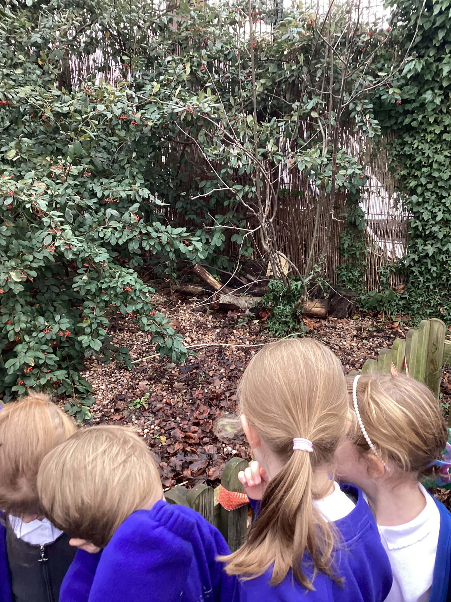 LOtC: Learning Outside the Classroom - Norbridge Academy